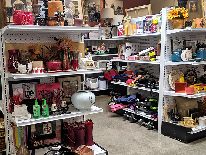 Shelves of organized chaos showcase everything from teapots to figurines &ndash; each item a conversation starter waiting to happen.