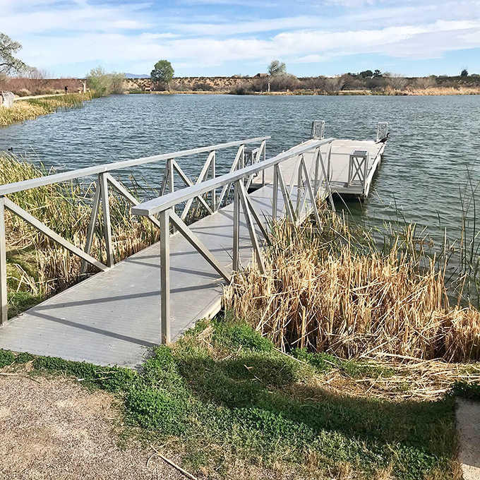 Engineering meets nature – this accessible fishing dock invites everyone to venture out over the water without getting their feet wet. Unless they want to.