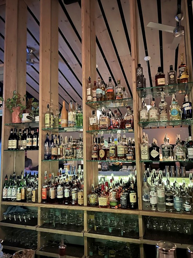 The bar shelves at The Little Fleet are like a liquid library of joy. Each bottle contains stories waiting to be poured, sipped, and shared.
