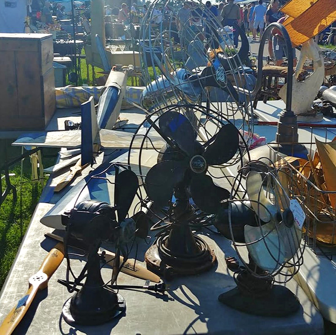 Vintage fans that cooled generations before air conditioning became common. Their metal blades still ready to stir the air with industrial-strength nostalgia.