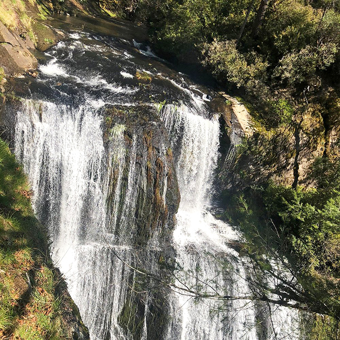 Framed by ancient trees, this waterfall looks like something straight out of a fairy tale storybook.