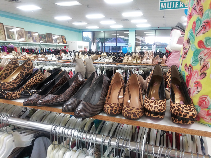 Leopard print pumps stand at attention next to sensible flats, a footwear United Nations where every style gets equal representation regardless of original price.