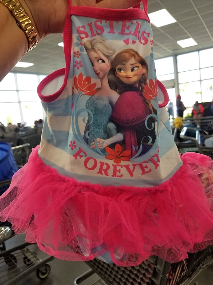 A princess dress with tulle and dreams attached. Some little Floridian is about to have the best dress-up day ever for pocket change.