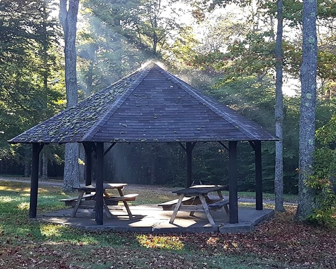 This rustic gazebo offers shelter from summer sun or surprise showers. Nature's waiting room before the cosmic theater opens.