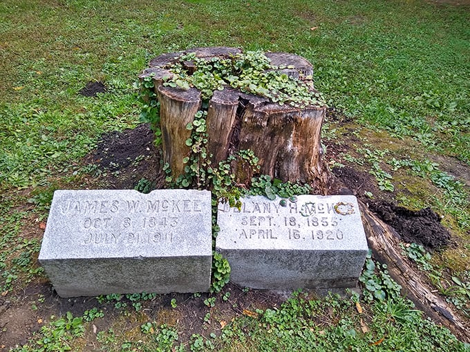 Nature slowly reclaims what humans have abandoned. The McKee family markers sit beside a tree stump that's becoming its own memorial garden.
