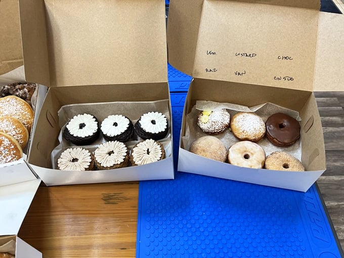 Boxes labeled with care, each containing treasures more valuable than gold to the true donut aficionado.