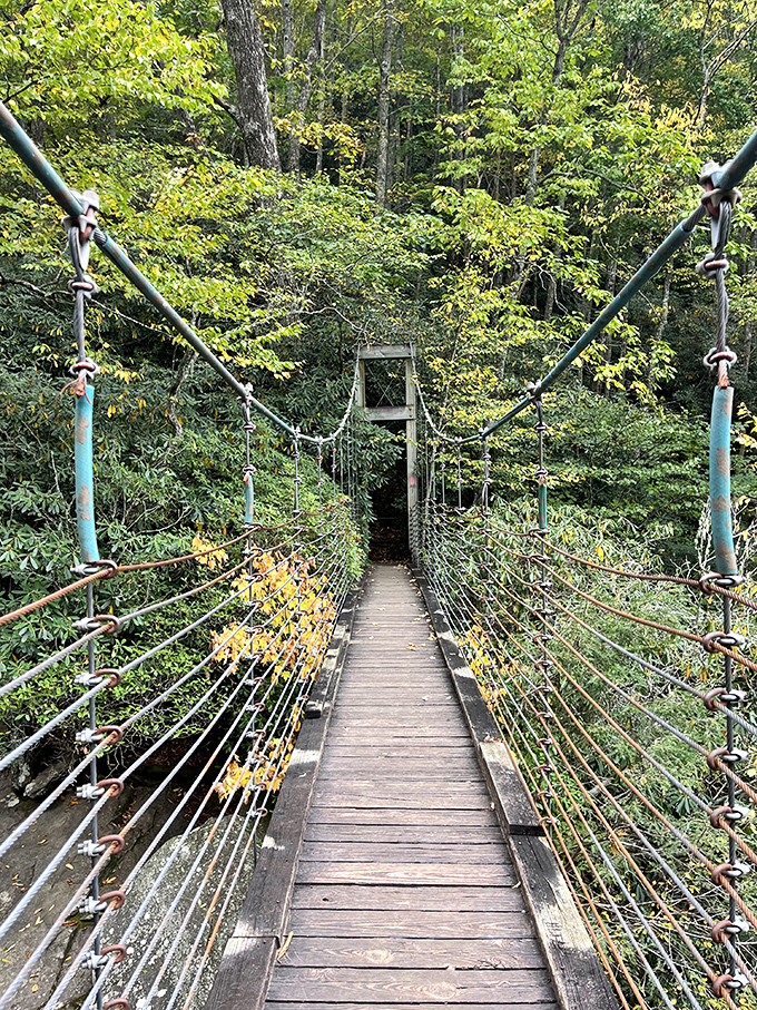 This suspension bridge invites brave souls to cross while swaying gently above the forest floor. Walking across feels like starring in your own adventure movie—minus the villainous pursuit.