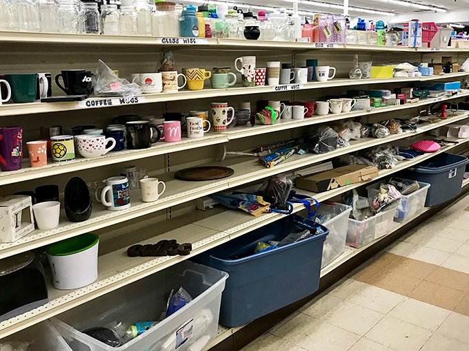 Home essentials gather like a domestic supply depot where nesting instincts meet bargain hunting.