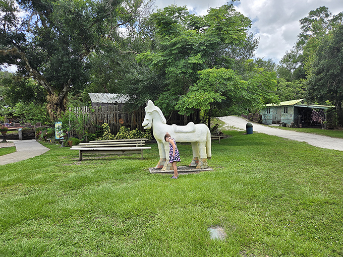 Fellow adventurers discovering what locals have known all along about this hidden gem.