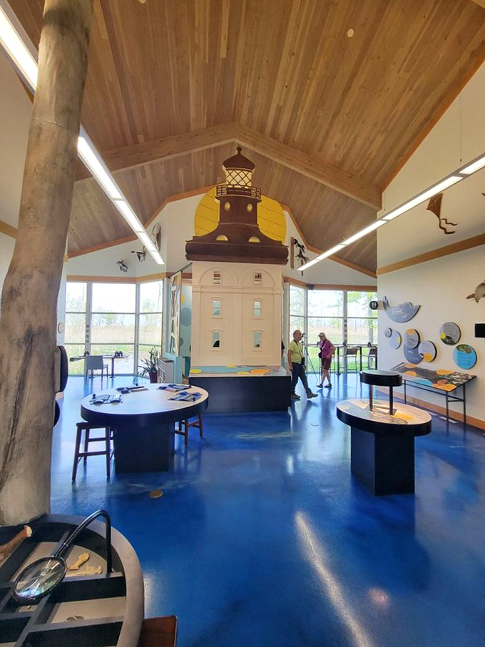Inside this educational sanctuary, every display tells stories that make textbooks seem downright boring.
