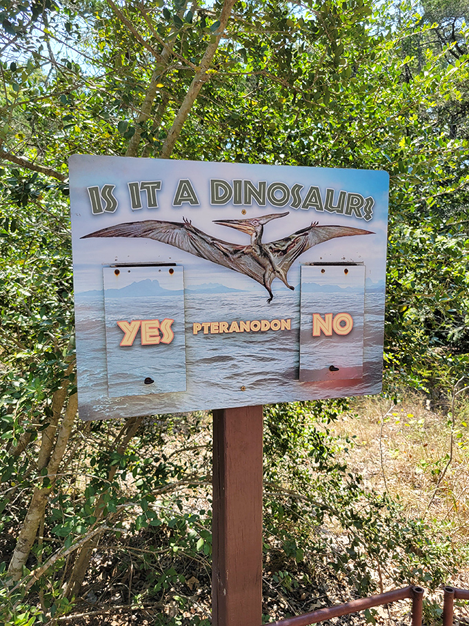 Is it a dinosaur? The interactive displays turn casual visitors into amateur paleontologists with just a flip of a wooden panel.