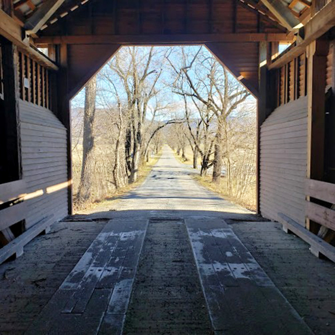 Winter's bare trees create a stark contrast to the bridge's exit, framing the road ahead like a painting waiting to be explored.