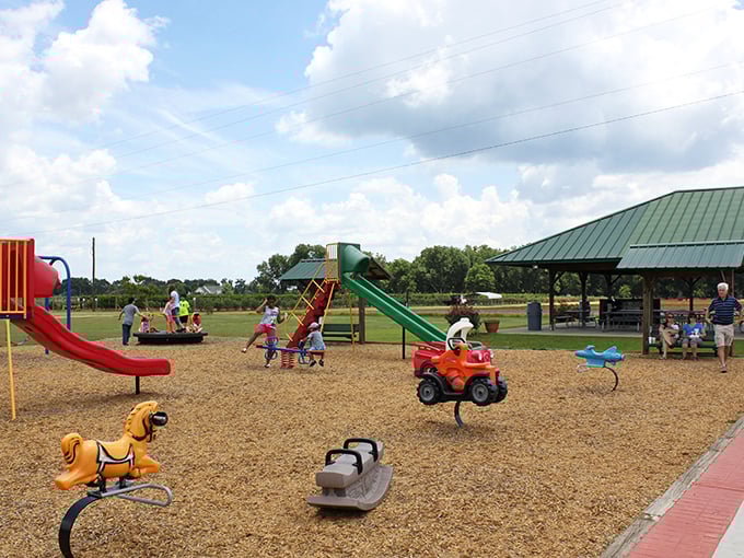 Where kids burn off cobbler-induced energy while parents contemplate a second helping. The playground: nature's perfect parenting hack.