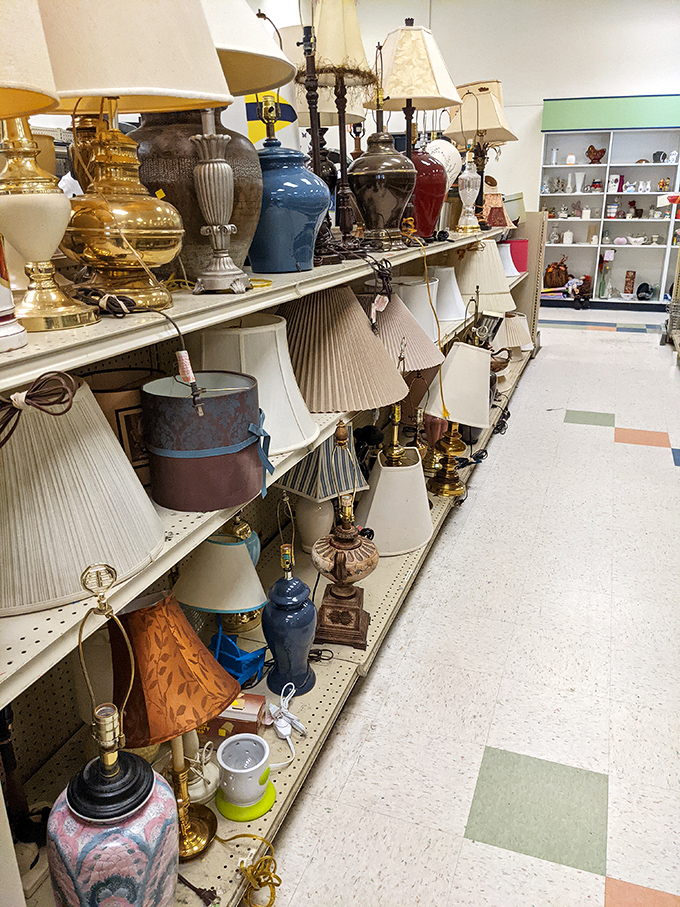 Vintage lamps stand at attention like illumination soldiers, ready to brighten any corner with character and charm.