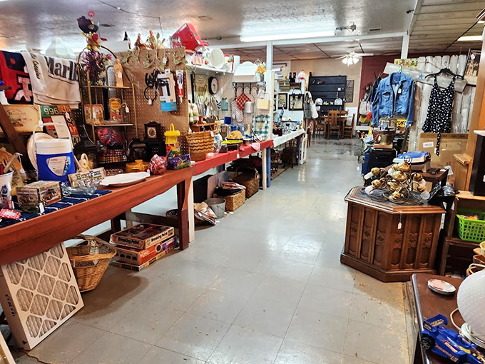 The thrill of the hunt distilled into one long aisle. Somewhere in this treasure trove is exactly what you didn't know you needed.