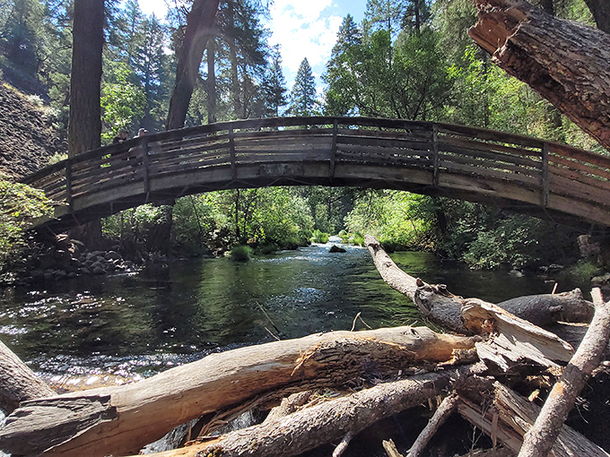 This charming bridge frames your approach to the falls like a natural picture window.