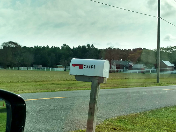 Even in the space age, bills still arrive by mail. A humble roadside mailbox stands in charming contrast to the extraordinary home behind it.