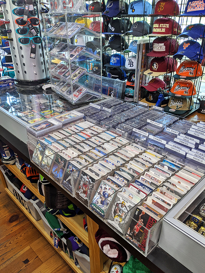 Beach-themed merchandise that actually makes sense &ndash; no tacky flamingos in sight, just genuine coastal character.