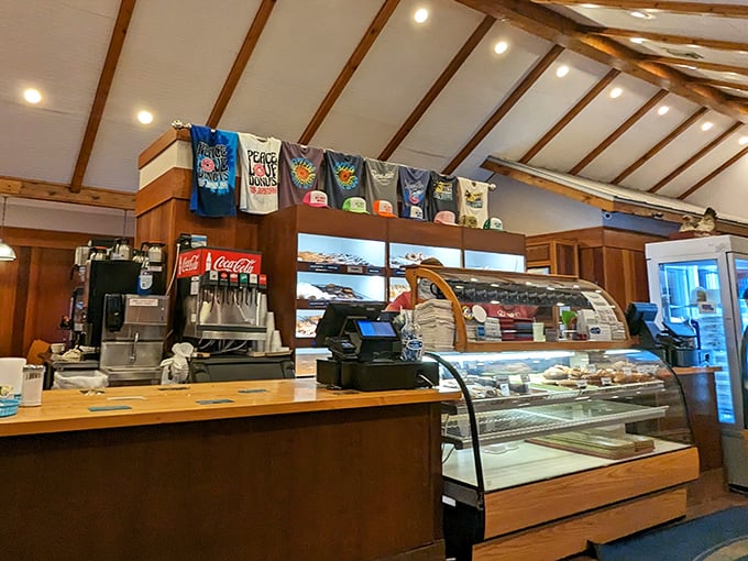 Where donut dreams come true. The curved display case showcases these circular treasures like the culinary jewels they are.
