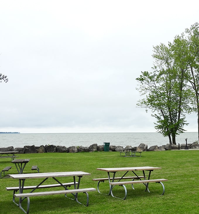 Perfect spot for contemplating life, Lake Erie, and whether you packed enough snacks for the drive home.