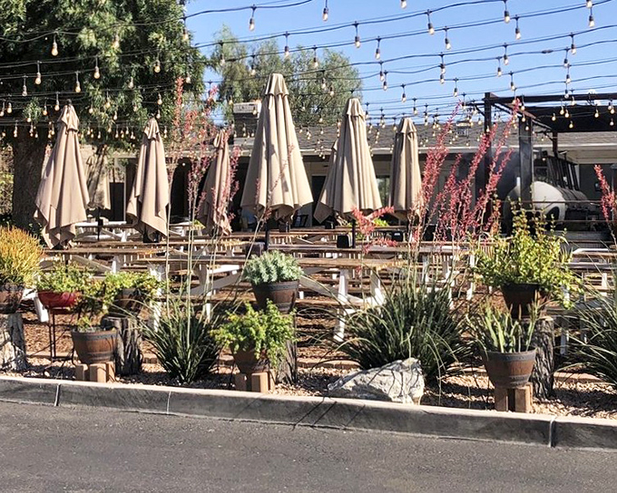 Desert landscaping meets dining paradise. Folded umbrellas stand ready for the Arizona sun while string lights await evening's cooler embrace.