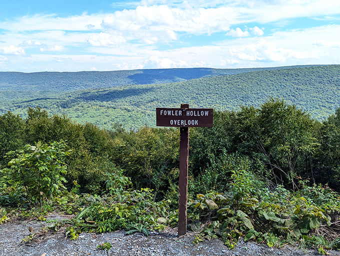 The payoff view: Fowler Hollow Overlook showcases Pennsylvania's endless green waves. Worth every uphill step and bead of perspiration to witness this panorama.