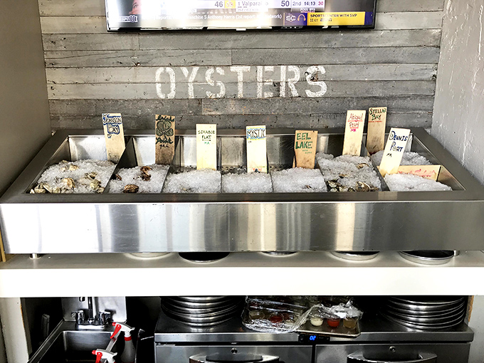 The daily oyster selection displayed with the reverence of fine jewelry&mdash;each variety tagged like precious gems from the sea.