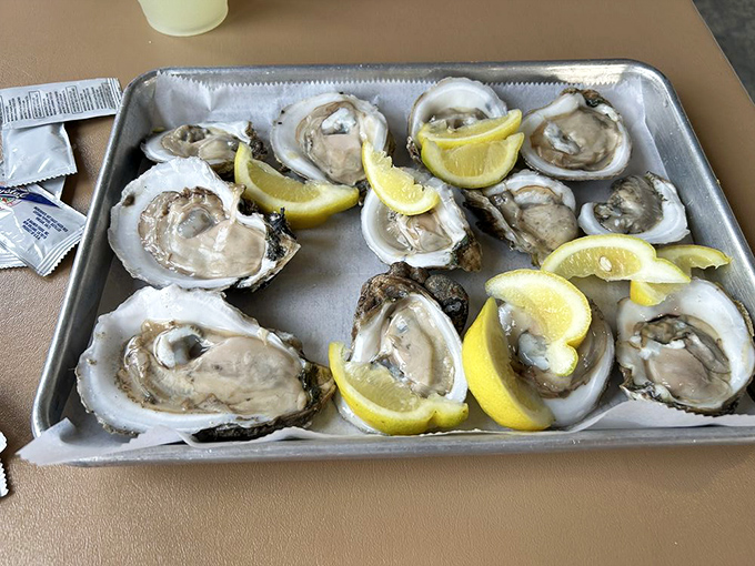 Fresh oysters on the half shell—nature's perfect appetizer. Just add lemon, maybe a dash of hot sauce, and prepare for briny bliss.
