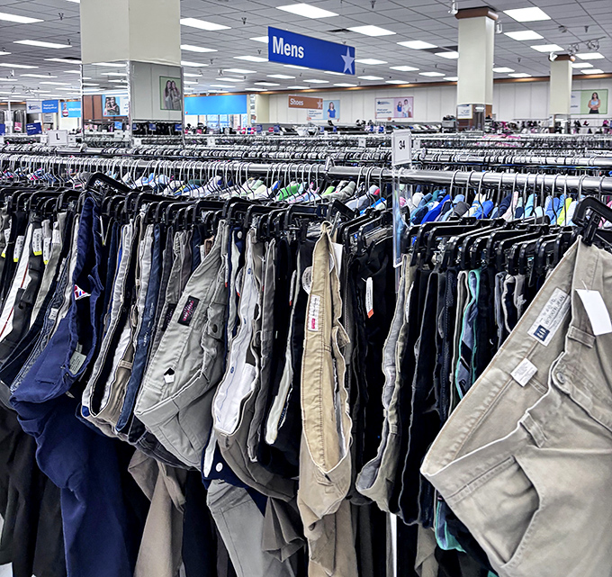 Bookworms rejoice! Literary treasures await at prices that let you build a personal library without needing a library-sized budget.