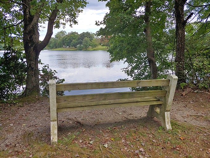 The simplest throne with the grandest view—this weathered bench offers front-row seating to nature's ever-changing performance across the lake.