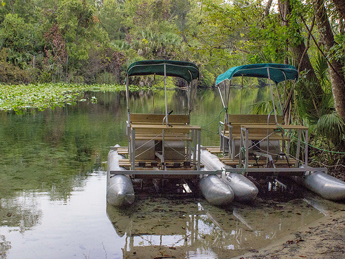 These pontoon pedal boats await their captains. No sailing experience required, just leg muscles and a desire for gentle adventure.