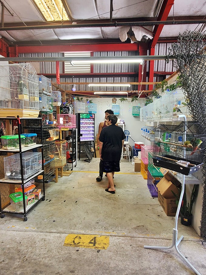 Bird cages and pet supplies line this specialized vendor's space. One person's "just looking" often turns into "I guess we have a parakeet now." 