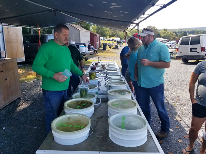 Pickle paradise found! These buckets of briny goodness represent Pennsylvania's proud tradition of preserving summer's bounty for year-round enjoyment.