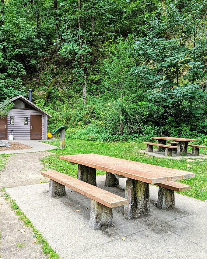 Lunch with a side of serenity: These rustic picnic tables invite you to enjoy a sandwich while surrounded by fifty shades of green.