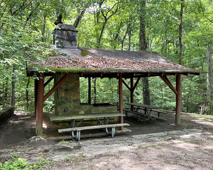 Picnic shelters: where sandwiches taste 37% better simply because you're eating them outdoors. The stone fireplace adds rustic gravitas to your PB&J.