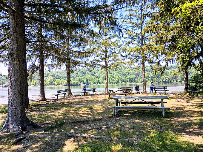 Picnic tables with million-dollar views that don't cost a penny. These wooden platforms have hosted more memorable meals than fancy restaurants ever could.