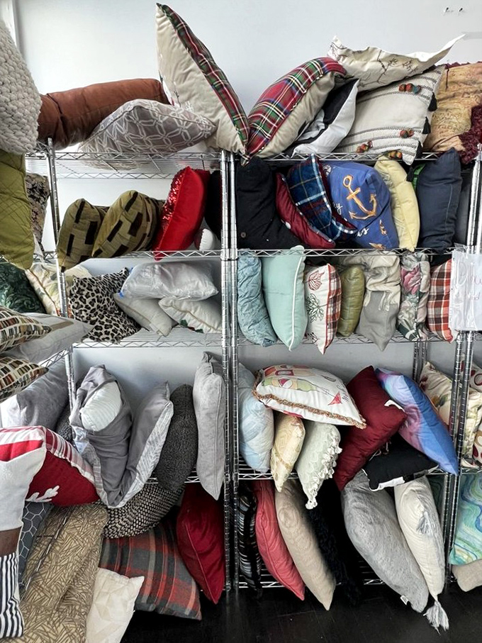 The pillow section: where coastal, nautical, and "what was I thinking?" design sensibilities create a soft, squishable tapestry of home d&eacute;cor history.