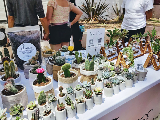 Tiny succulents and cacti stand at attention in their minimalist pots &ndash; desert-friendly souvenirs that even serial plant-killers might keep alive.