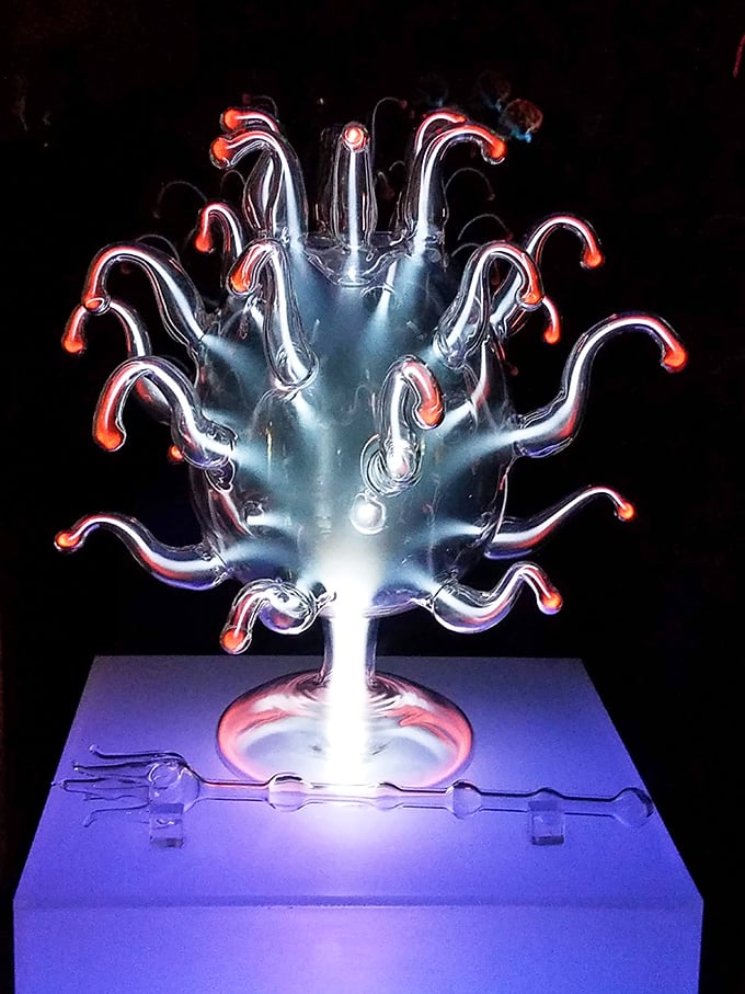 Part chandelier, part sea creature, this plasma sculpture hypnotizes viewers with its tentacles of light reaching into the darkness.