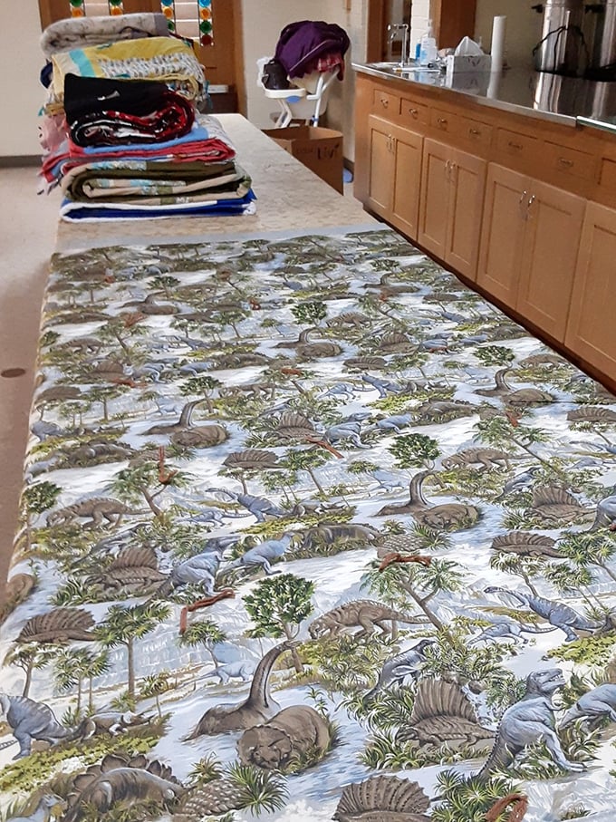 A dinosaur-patterned quilt that screams "conversation piece." Perfect for the guest room when you want visitors to stay awake pondering your decorating choices.