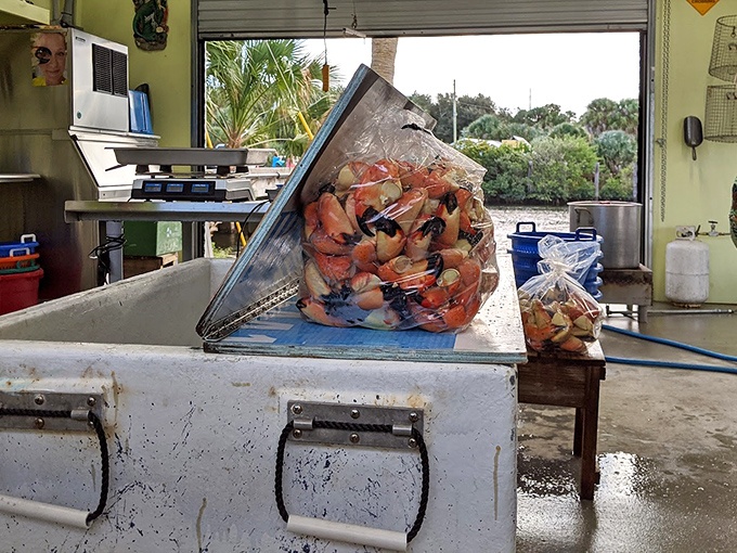 Behind the scenes where the magic happens – less Gordon Ramsay drama, more delicious results guaranteed.