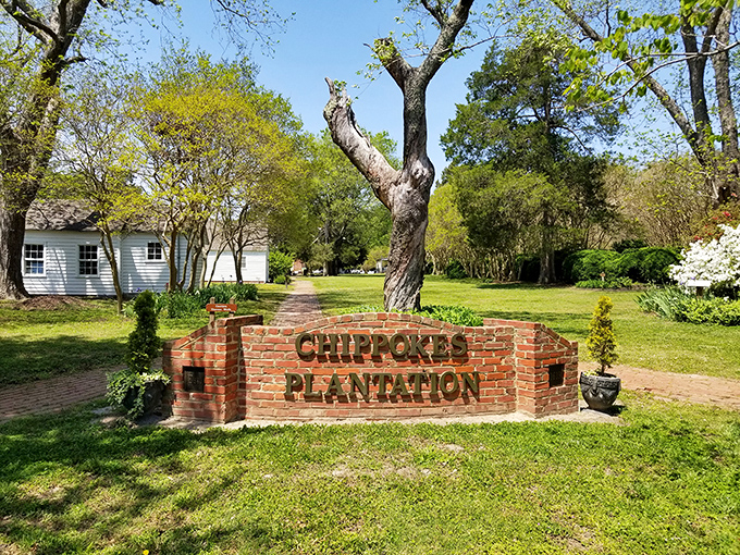 A brick entrance sign that's seen more seasons than most family photo albums. The twisted tree stands guard like an ancient sentinel.