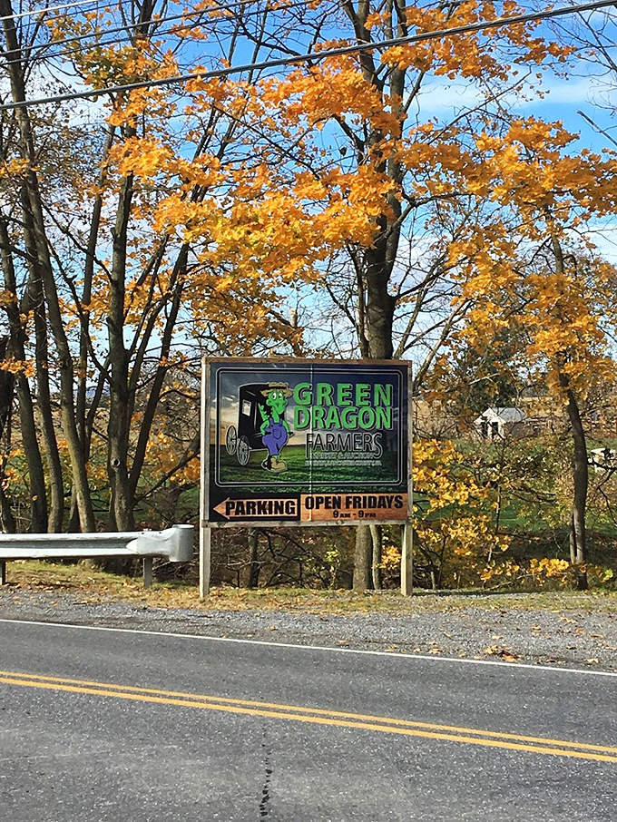 The iconic Green Dragon sign framed by autumn gold. Like a beacon to bargain hunters, it promises "Open Fridays" like a weekly holiday.