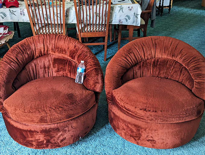 Twin velvet conversation chairs that scream "1970s conversation pit." Add martinis and discuss world affairs like you're on The Dick Cavett Show.