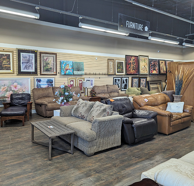 The couch collection: where you can find the perfect napping spot without the soul-crushing price tag of new furniture showrooms.