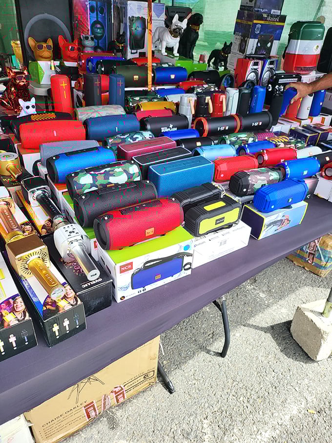 Bluetooth speakers in every color of the rainbow stand at attention. Your backyard barbecue soundtrack just got a serious upgrade.