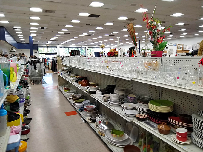 Dish paradise stretches as far as the eye can see, where mismatched plates become "eclectic collections" and nobody judges your flamingo-themed glassware obsession.