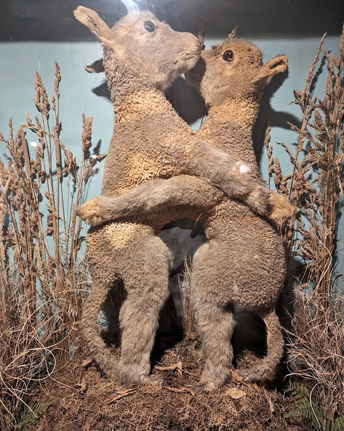 These embracing taxidermied rabbits give new meaning to "forever love." Somewhere between sweet and unsettling lies this eternal cuddle.