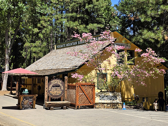 Sunshine and nostalgia served daily! The golden-hued ticket office glows with promise beneath spring blossoms, like California's answer to autumn in New England. 