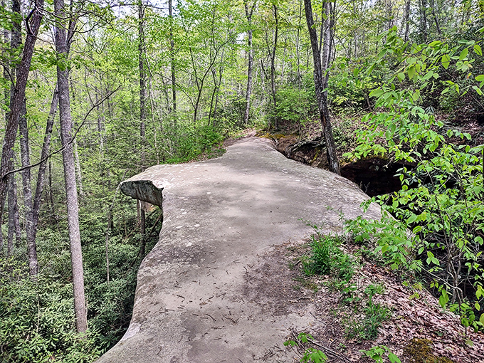 Standing atop natural arches makes you feel simultaneously tiny and tremendously lucky to be here.
